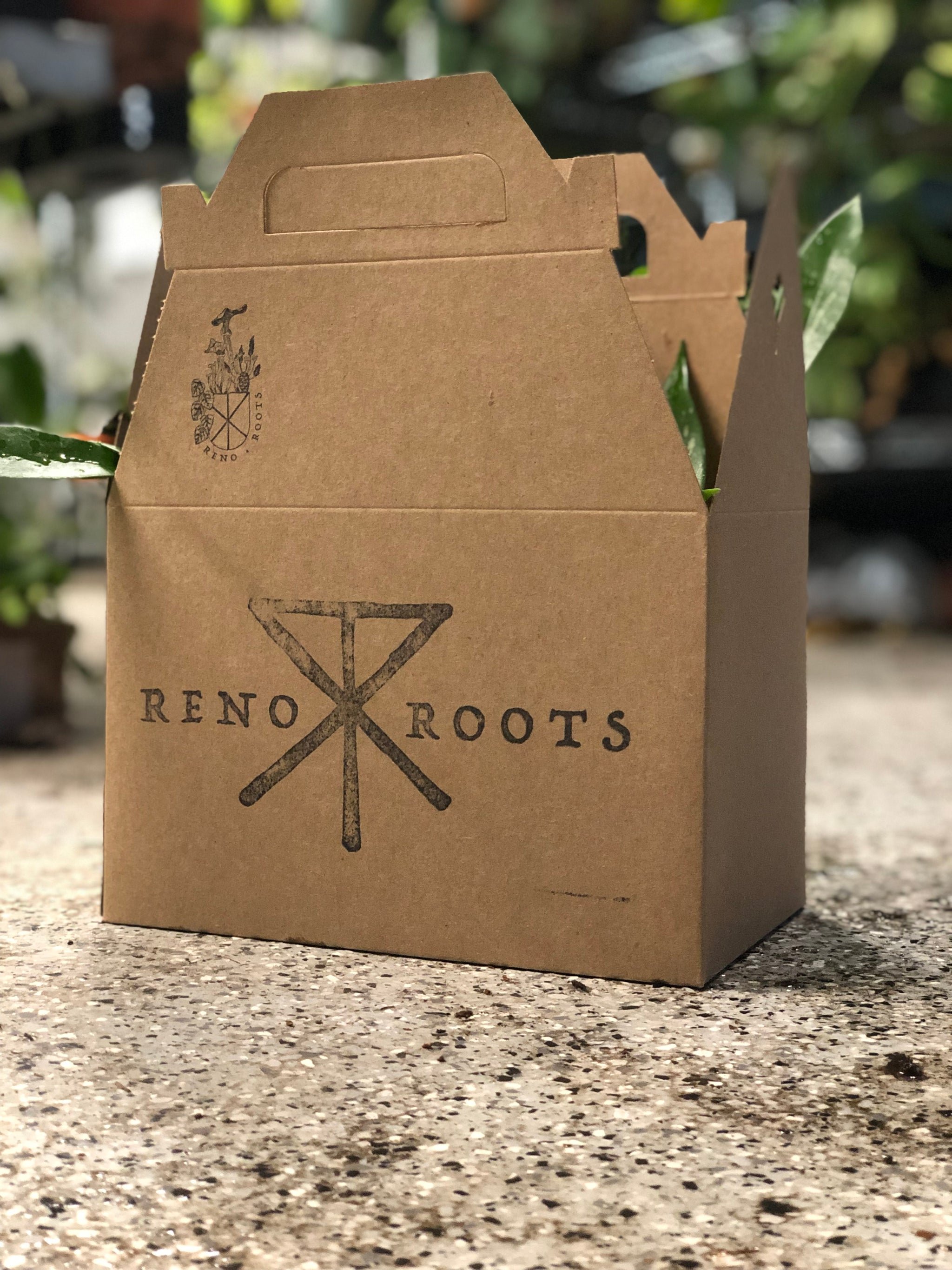 Reno Roots Nursery